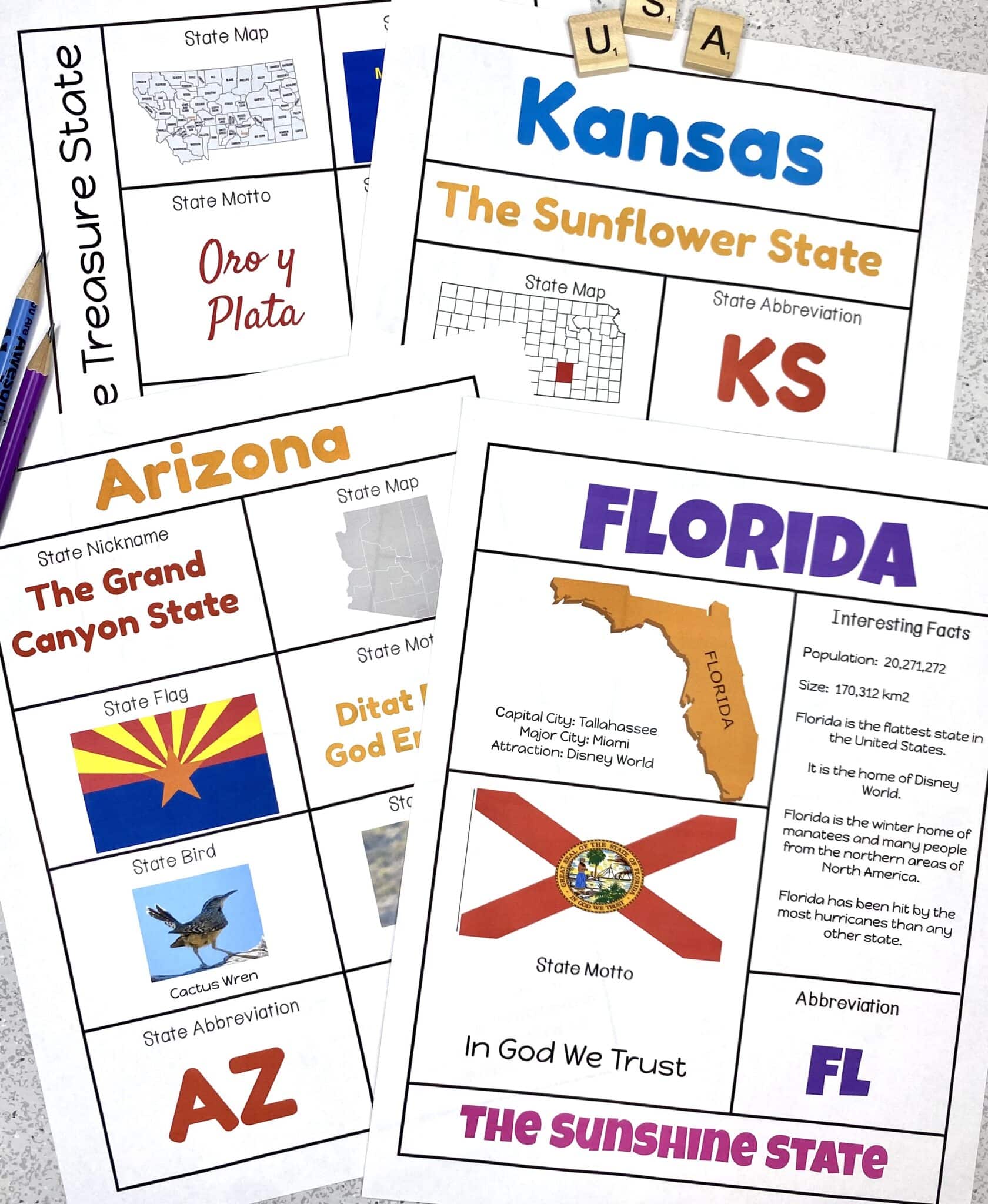 Creative State Report Project Ideas for Fifth Grade That Your Students ...